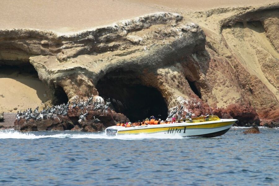 From Paracas: Ballestas Island Boat Tour with entrances - The Experience: What Youll Really Get