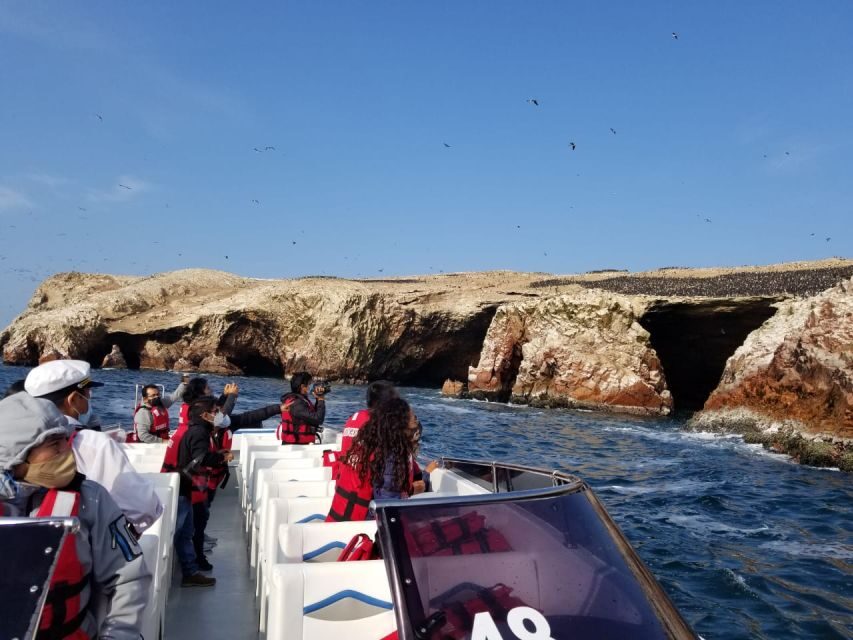 From Paracas or Pisco: Ballestas Islands Private Boat Trip - What the Tour Includes and What It Doesn’t
