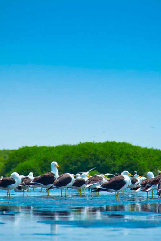 From Piura | Tour to Sechura and Sandboarding - A Closer Look at the Itinerary