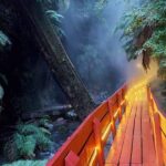 From Pucón: Geometric Hot Springs - What the Itinerary Looks Like