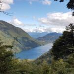 From Pucón: Huerquehue National Park Hiking Tour - Who Will Love This Tour?