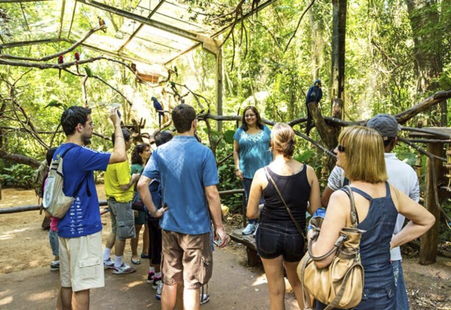 From Puerto Iguazú: Brazilian Bird Park Tour with Tickets - Who Will Love This Tour?