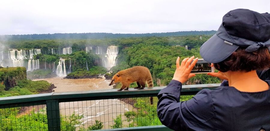From Puerto Iguazu: Brazilian Side of the Falls with Ticket - What Travelers Say: Authentic Perspective