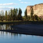 From Puerto Madryn: Chubut River Valley Welsh Colonies - A Detailed Look at the Itinerary