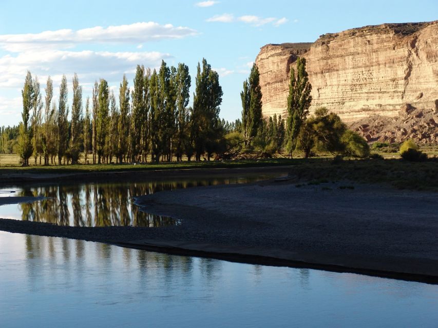 From Puerto Madryn: Chubut River Valley Welsh Colonies - A Detailed Look at the Itinerary