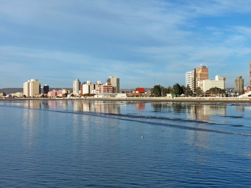 From Puerto Madryn: City and Punta Loma Tour - How the Tour Is Organized and What It Means for Travelers