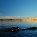 From Puerto Madryn: Full-Day Valdes Peninsula Tour - In-Depth Look at the Tour Experience
