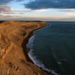 From Puerto Madryn: Valdes Peninsula Full-Day Tour - What Travelers Say: Authentic Experiences and Practicalities