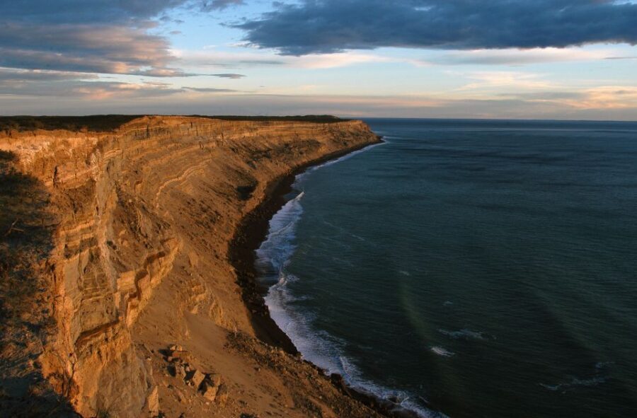 From Puerto Madryn: Valdes Peninsula Full-Day Tour - What Travelers Say: Authentic Experiences and Practicalities