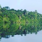 From Puerto Maldonado: 4-Day Excursion /wildlifesearch - What’s Included and What to Consider