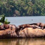 From Puerto Maldonado | Jungle hike + Sandoval Lake | - Practical Details and What to Expect