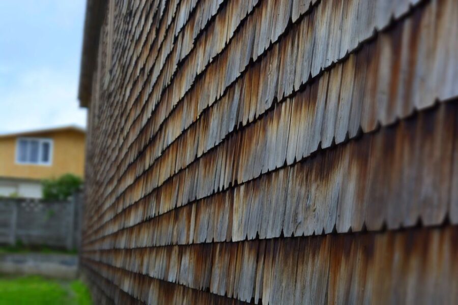 From Puerto Varas: Chiloe Island Full-day Tour - The Practicalities: Transportation, Guides, and Value