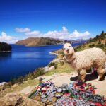 From Puno: Sun Island and Copacabana 1-Day Tour - Transportation and Logistics