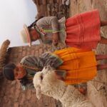 From Puno: Tour to Sillustani pre Inca Tombs - How the Sillustani Tour Compares