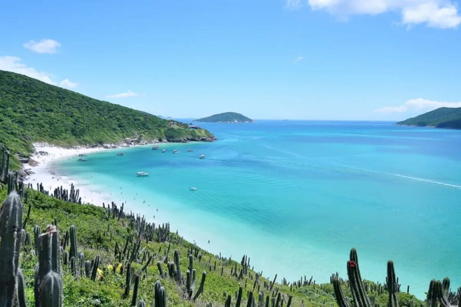 From Rio de Janeiro: Arraial do Cabo Island Day Trip - The Itinerary: What to Expect