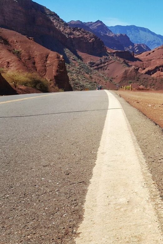 From Salta: Cafayate Day Trip with Wine Tasting - An In-Depth Look at the Experience