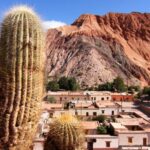 From Salta: Full-Day Tours of Cachi and Salinas Grandes - The Practical Side of the Tour