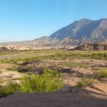 From Salta: Full-Day Tours of Cafayate and Humahuaca - What Makes This Tour Stand Out