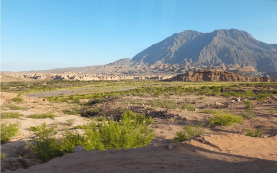 From Salta: Full-Day Tours of Cafayate and Humahuaca - What Makes This Tour Stand Out
