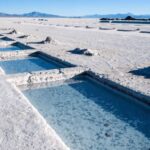 From Salta: Full-Day Tours of Cafayate and Salinas Grandes - Transportation and Guide