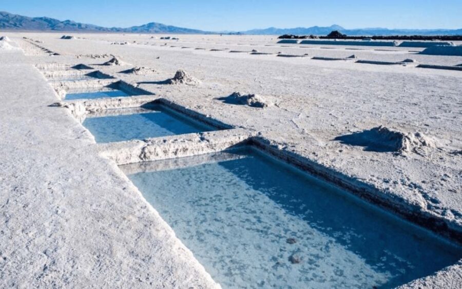 From Salta: Full-Day Tours of Cafayate and Salinas Grandes - Transportation and Guide