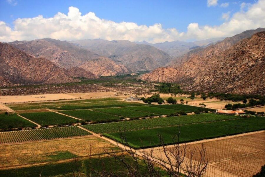From Salta: Full-Day Wine and Valley Tour to Cafayate - Visiting a Winery: Tasting Local Wines