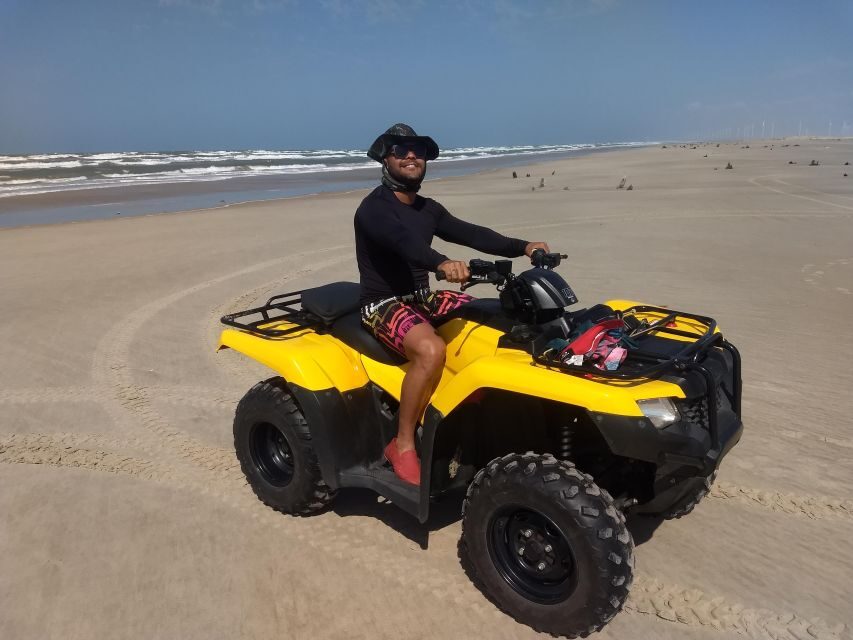 From Salvador: Praia do Forte & Guarajuba Beach Daytrip - The Practicalities: What Travelers Should Know