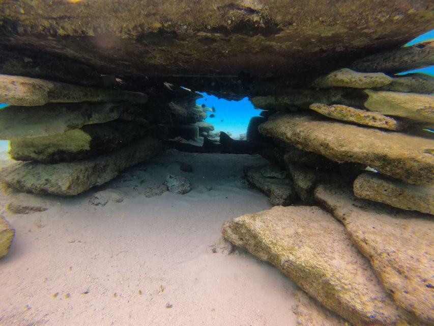 From San Andres: Cayo Acuario Tour - The Value and What to Expect