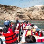 From San Martin Port: Ballestas Islands Tour in Paracas - The Practical Side: Pricing, Group Size, and Tips