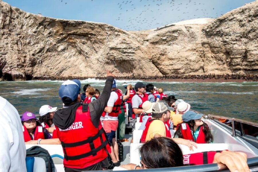 From San Martin Port: Ballestas Islands Tour in Paracas - The Practical Side: Pricing, Group Size, and Tips
