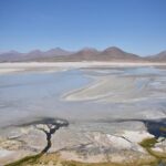 From San Pedro de Atacama: Lagoons and Piedras Reds - The Value and Who Will Love It