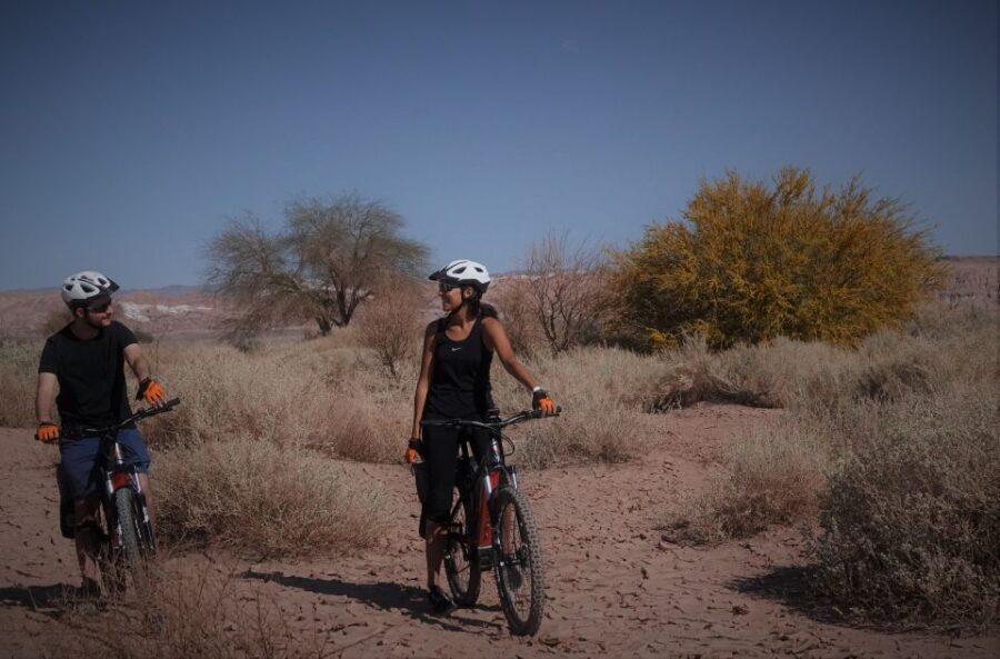 From San Pedro de Atacama: Laguna Cejar E-biking Adventure - The Drive to Laguna Cejar