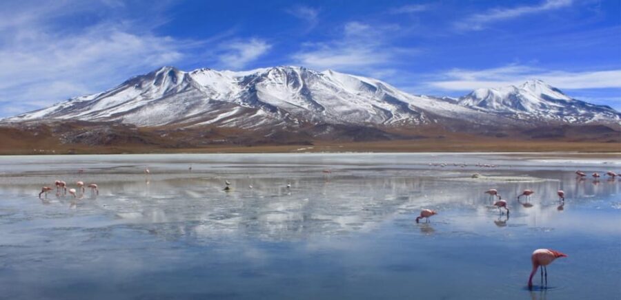 From San Pedro de Atacama to the Uyuni Salt Flats 4 Days - What’s Included and What’s Not