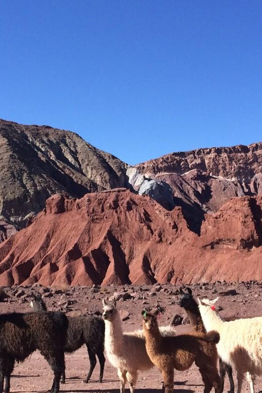 From San Pedro de Atacama: Tour Valle del Arcoíris - An In-Depth Look at the Tour Itself