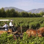 From Santiago: Private Colchagua Valley Wine Tour w/ Tasting - Transportation, Group Size, and Value
