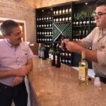 From São Paulo: São Roque Wineries Route and Shopping Tour - Practical Details and Value