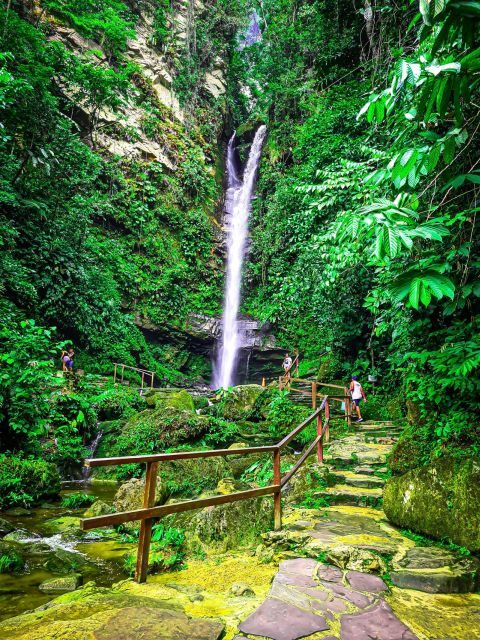From Tarapoto: Ahuashiyacu Waterfall Half Day Tour - What’s Included and What’s Not