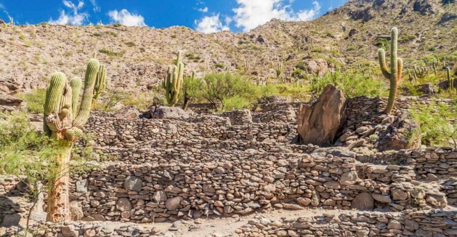 From Tucumán: Tafí del Valle, Quilmes Ruins and Cafayate - Who Will Love This Tour?