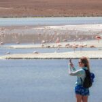 From Uyuni: Red Lagoon & Uyuni Salt Flats 3-Day Guided Tour - Accommodations and Meals