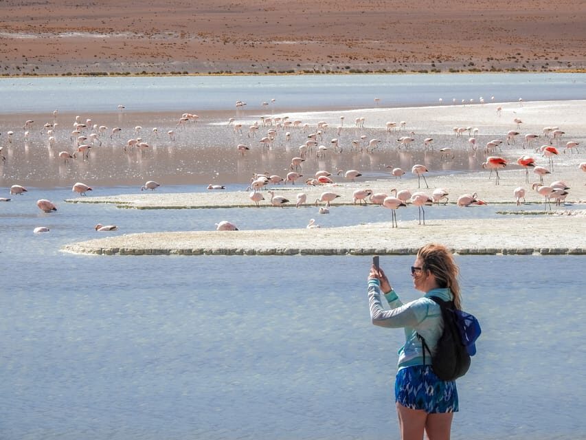 From Uyuni: Red Lagoon & Uyuni Salt Flats 3-Day Guided Tour - Accommodations and Meals