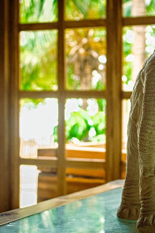 Full Day At Fenix Beach - The Value of the Experience