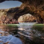 Full Day | Ballestas Islands - The Experience’s Strengths and Challenges