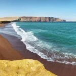 Full Day Ballestas Islands  Paracas National Reserve - Authentic Insights from Participants