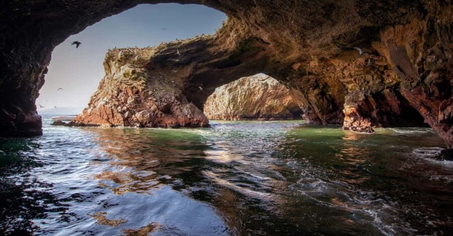 Full Day | Ballestas Islands - The Experience’s Strengths and Challenges