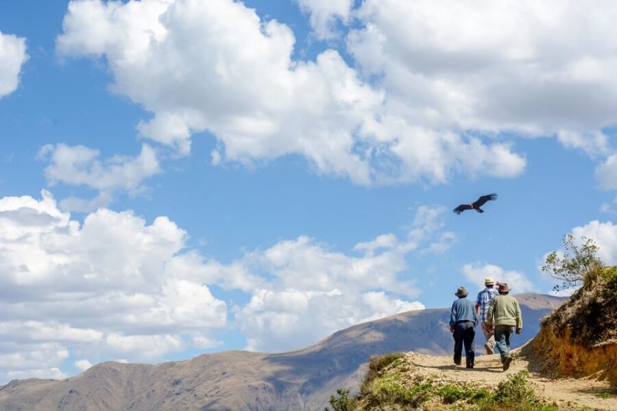 Full-Day Condor Viewpoint & Inca Sites Tour - The Practicalities: What’s Included and What to Know