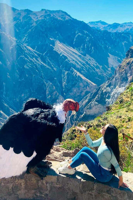 Full day excursion to Colca Canyon - Authentic Experiences and Practical Details