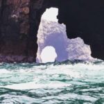 Full Day Paracas and Ballestas Islands - Transportation, Price, and Overall Value