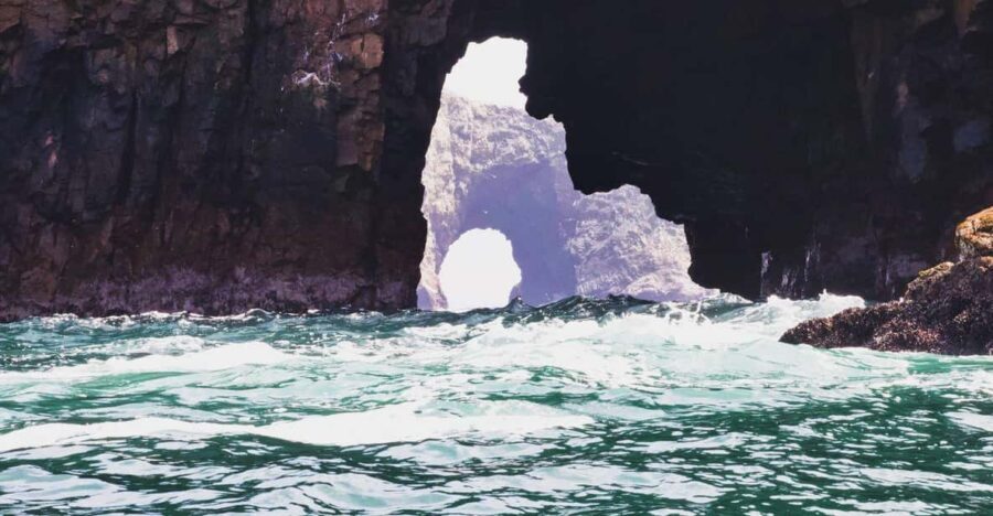 Full Day Paracas and Ballestas Islands - Transportation, Price, and Overall Value