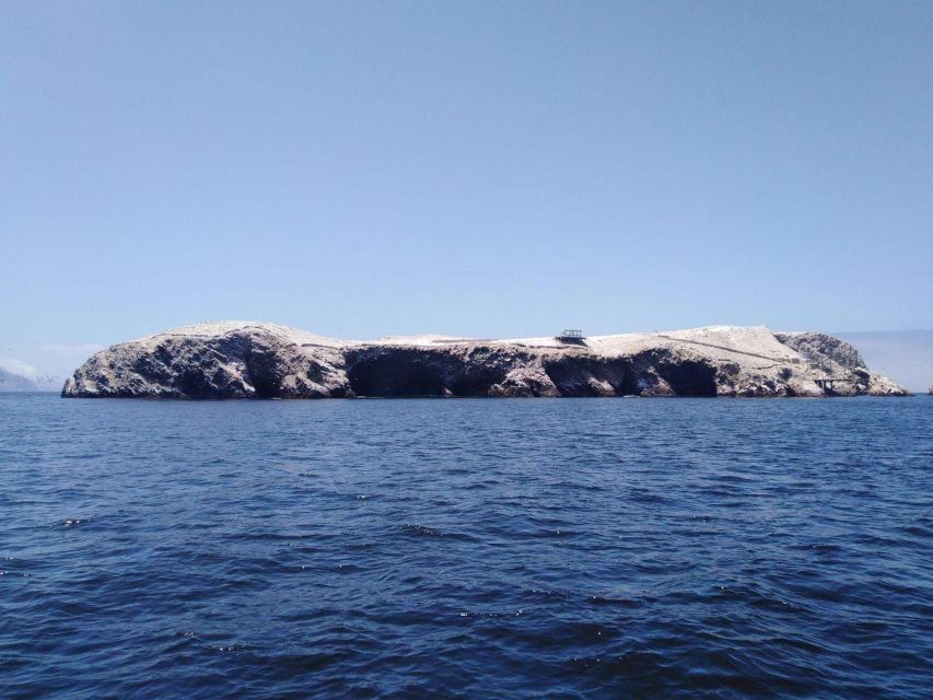 Full Day Paracas - ica from Lima - Who Will Love This Tour?