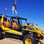 Full day tour in Ica -Paracas - What Makes This Tour Stand Out?